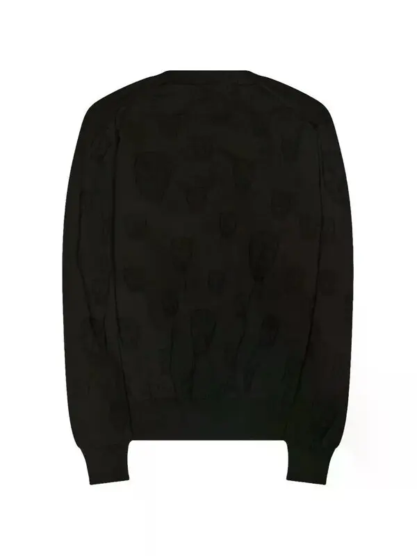Alexander McQueen Skulls Crew-neck Sweater