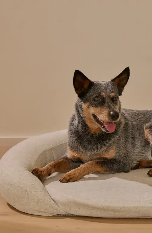 HIGHERDOSE Infrared Pemf Pet Bed
