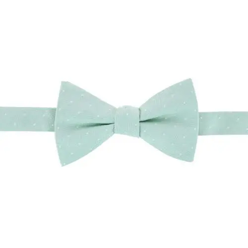 Trafalgar Churchill Chambray Polka Dot Linen Blend Bow Tie - Light Green With Polka Dots