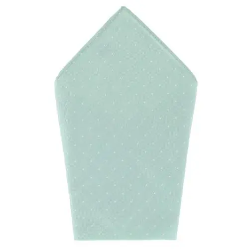 Trafalgar Churchill Chambray 12-inch Polka Dot Linen Blend Pocket Square - Light Green With Polka Dots