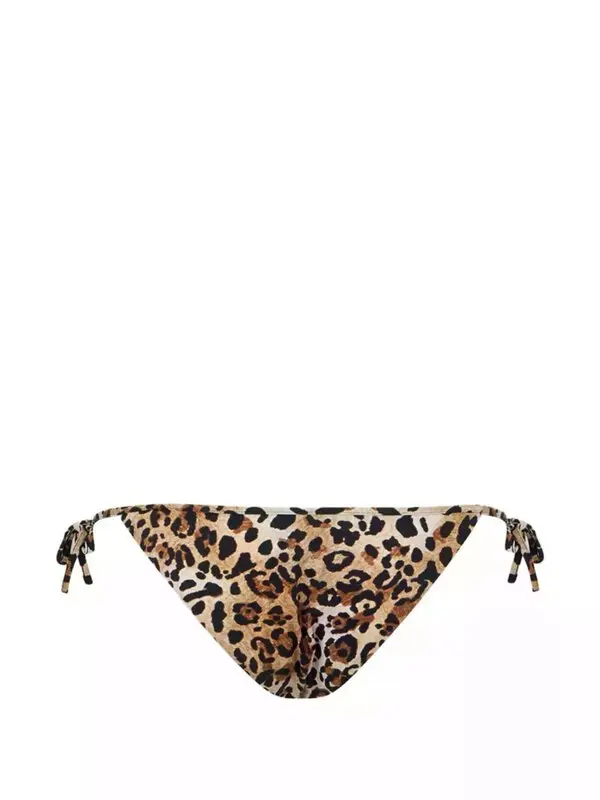 Dsquared2 Wild2 Bikini Briefs - Brown