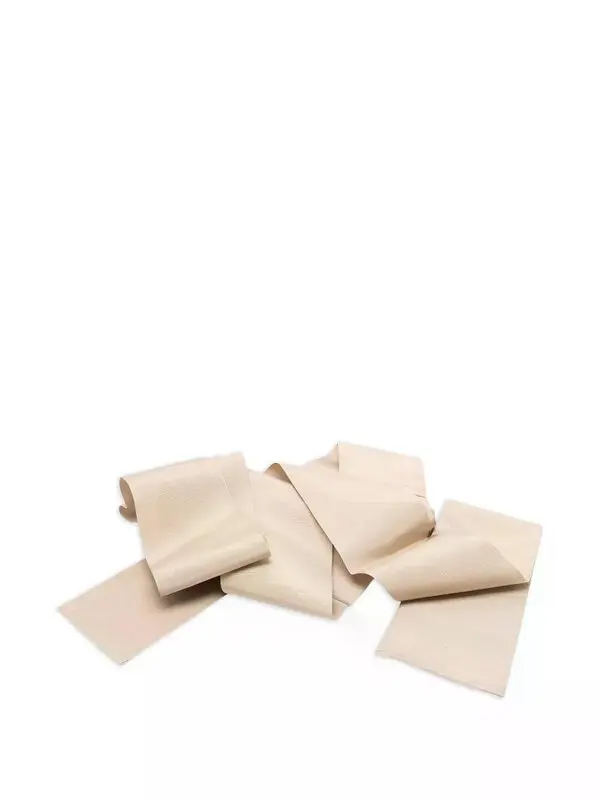 SARA ROKA Textured Belt