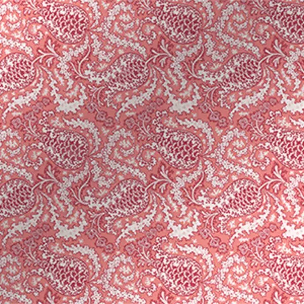 Max Mara Printed Scarf - Pink