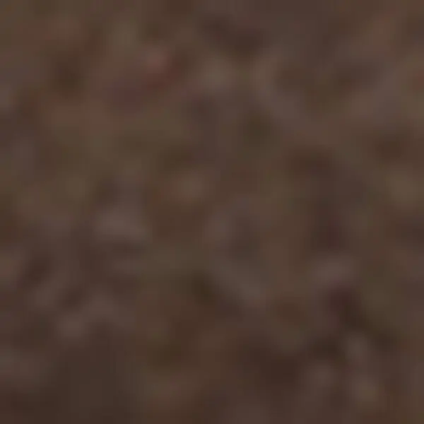 Hogan Suede Cool Sneakers - Brown