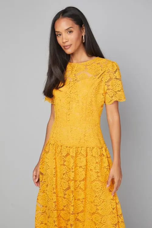 WALLIS Lace Button Detail Drop Hem Midi Dress