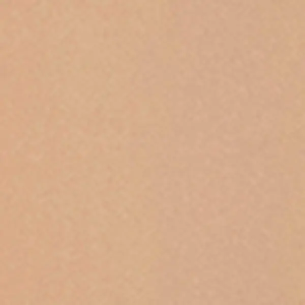 Sisley Phyto-teint Foundation