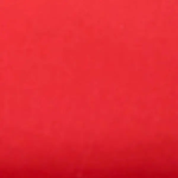 Amina Muaddi Holli Slingback 95 Pumps - Red