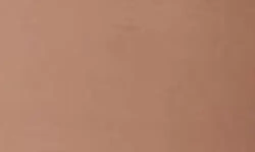 MEMOI Crystal Sheer Tights 2 Pack - Honey