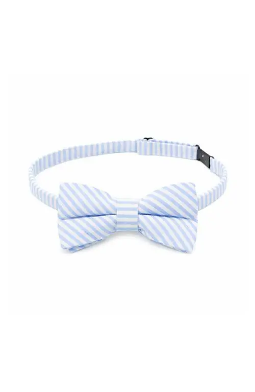 BITS & BOWS Seersucker Bow Tie - Blue