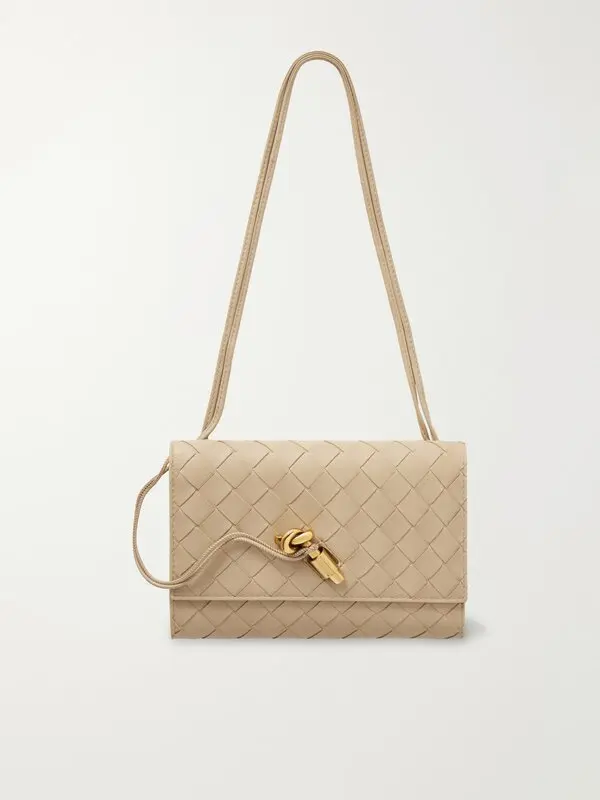 Bottega Veneta Andiamo Intrecciato Leather Pouch - Neutrals