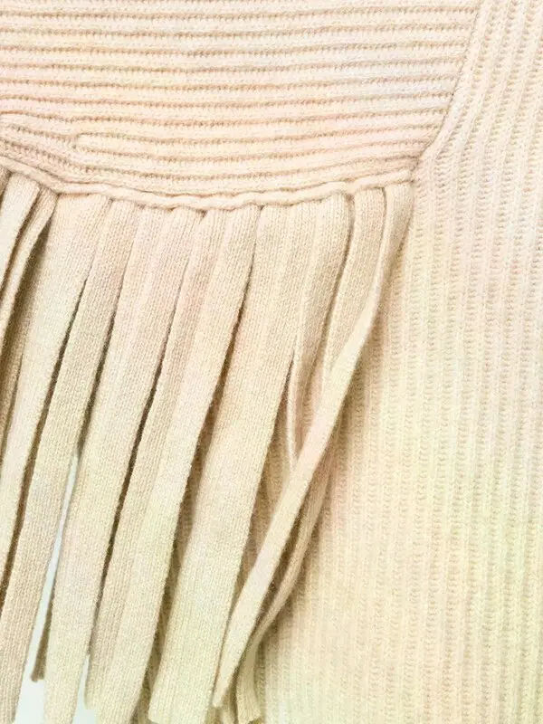 Stella McCartney Fringed Rib-knit Jumper