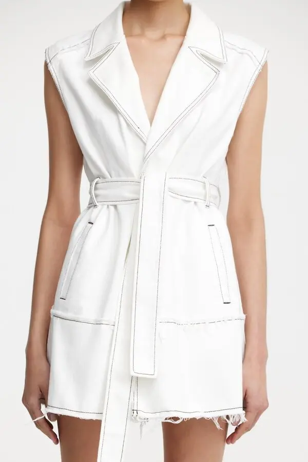 Significant Other Stevi Mini Dress