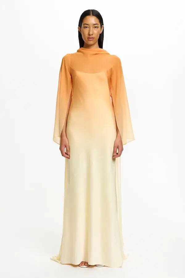 Significant Other Devlyn Long Sleeve Gown - Solarflare