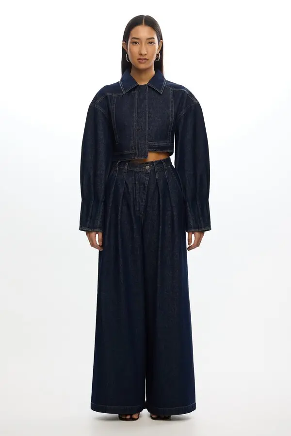 Significant Other Micah Wide-leg Pleated Denim Trousers