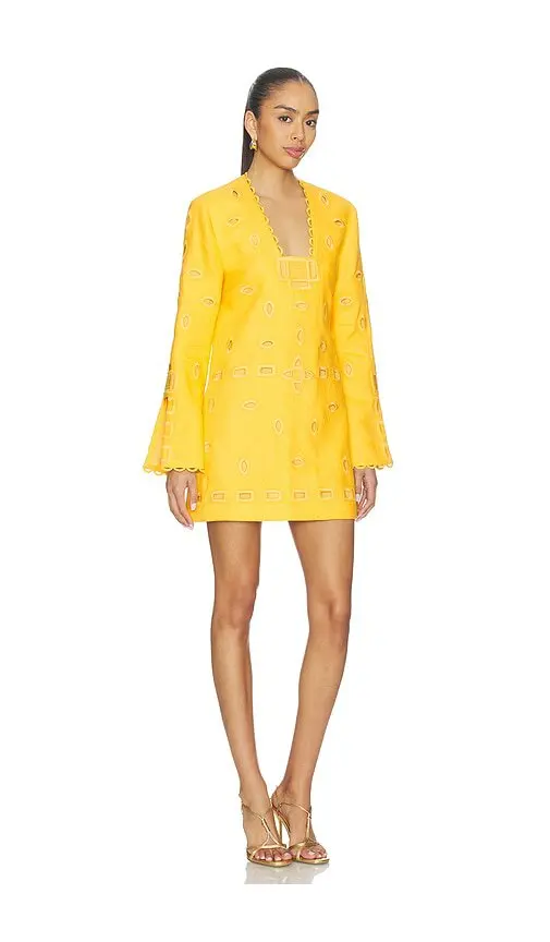 Alexis Eulia Dress
