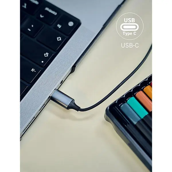 PANASONIC Usb-c Earphones Rp-tcm225