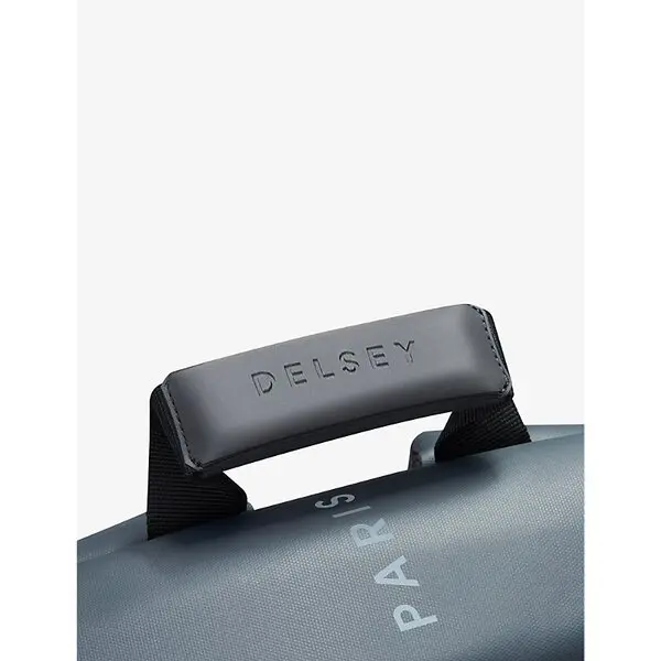 DELSEY Securflap Backpack