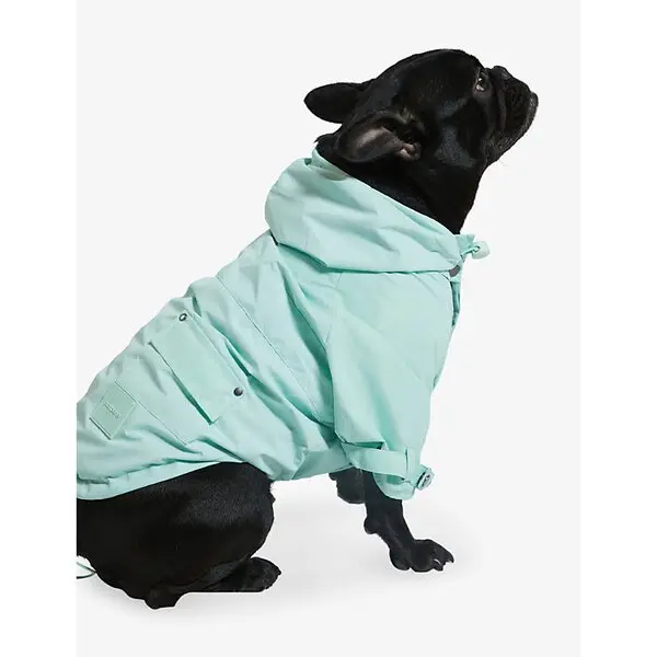 MAXBONE Talon Medium Hooded Shell Dog Jacket