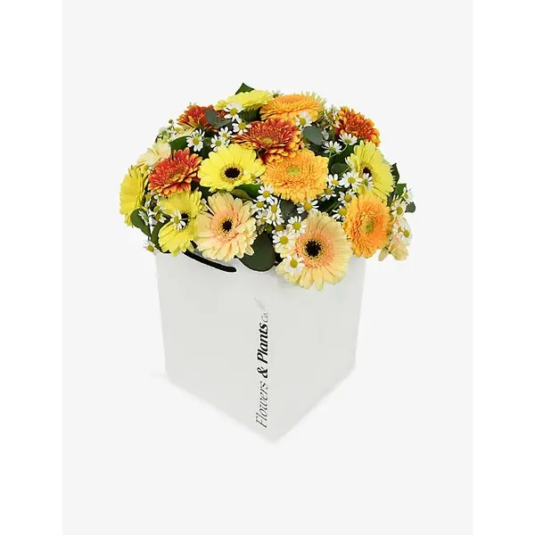 FLOWERS & PLANTS CO. Gerbera Mix Fresh Flower Bouquet