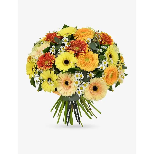 FLOWERS & PLANTS CO. Gerbera Mix Fresh Flower Bouquet