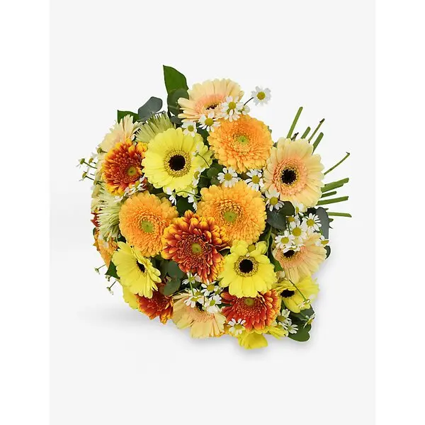 FLOWERS & PLANTS CO. Gerbera Mix Fresh Flower Bouquet