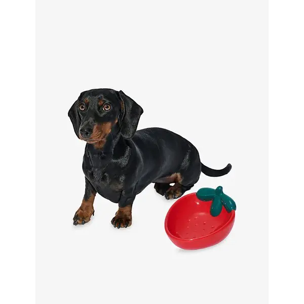 VETRESKA Strawberry Ceramic Pet Bowl