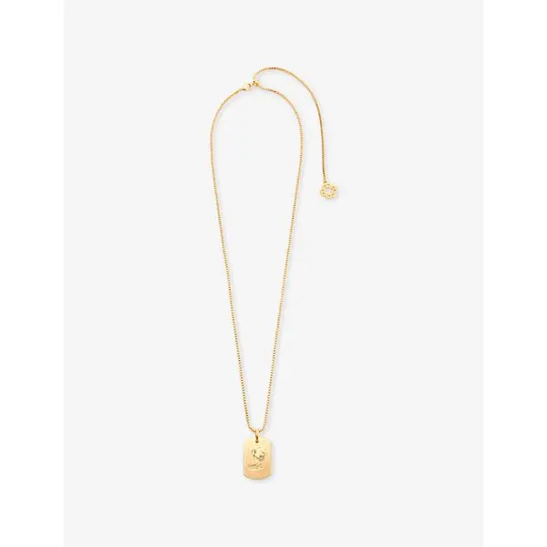 Maje Zodiac Plaque Metal Necklace - Aquarius