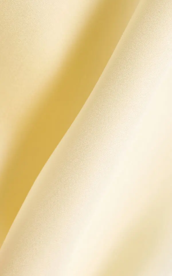 Another Tomorrow Satin Tea Length Slip Skirt