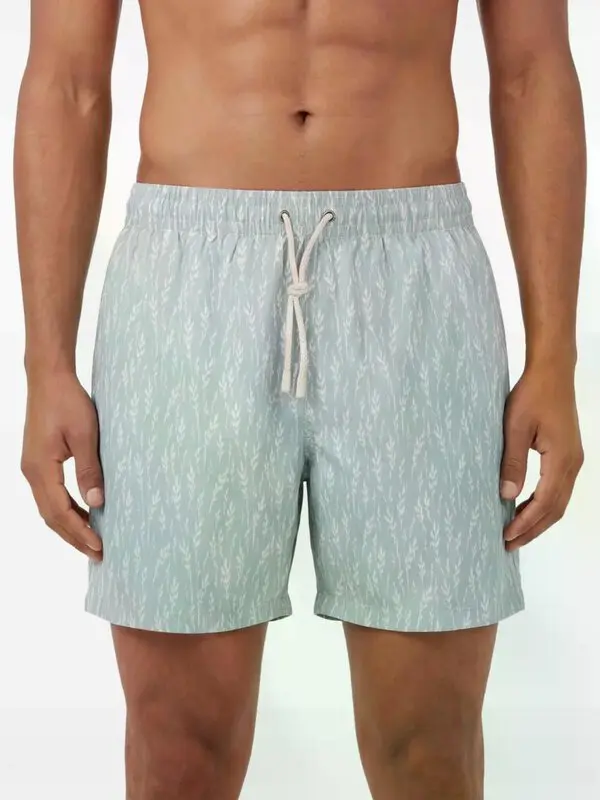Canali Swim Shorts - Green