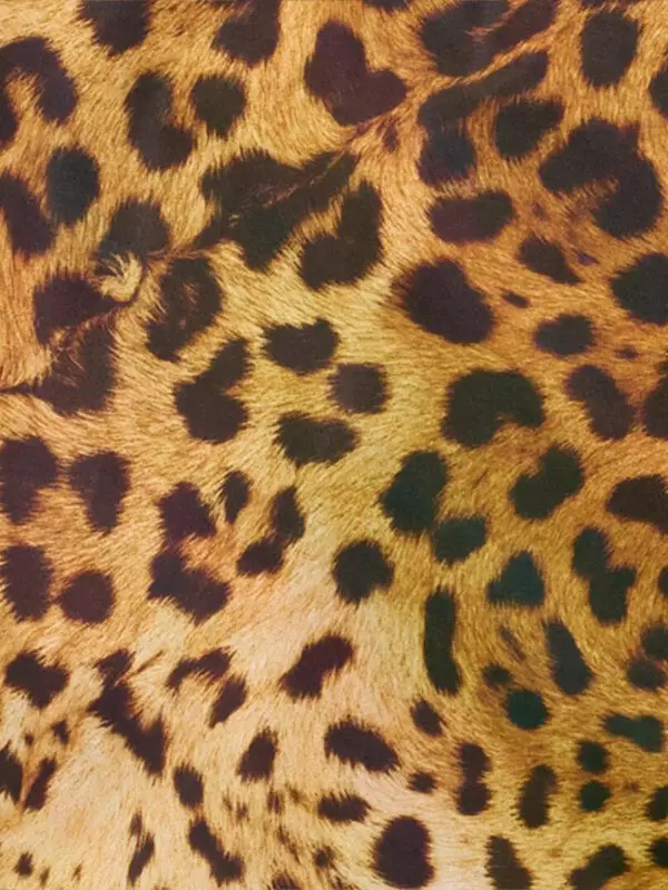 Roberto Cavalli Leopard-print Swim Shorts