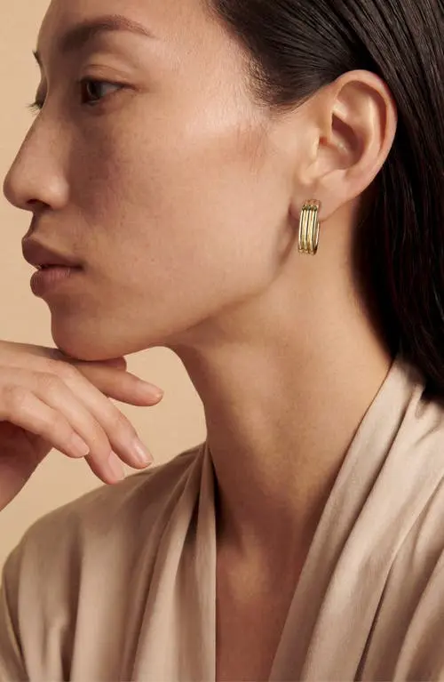 ST. MORAN Emma Fluted Oval Hoop Earrings
