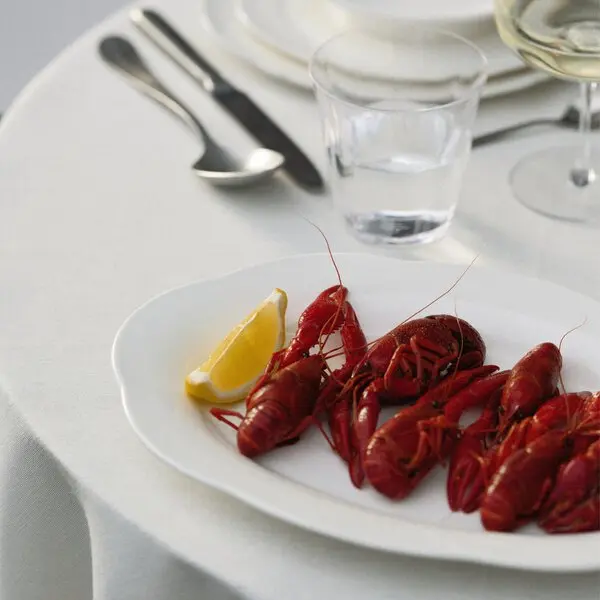 SERAX Silhouette Large Platter