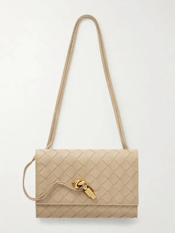 Bottega Veneta Andiamo Intrecciato Leather Pouch - Neutrals