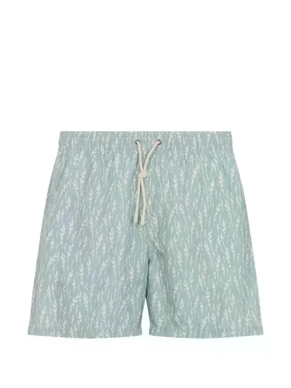 Canali Printed Drawstring Swim Shorts - Green