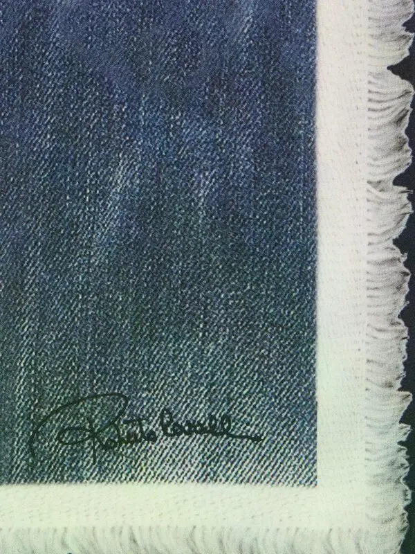 Roberto Cavalli Patchwork-effect Silk Scarf