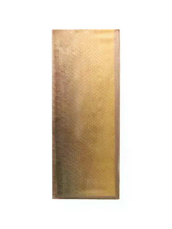 Roberto Cavalli Animal-print Scarf - Neutrals