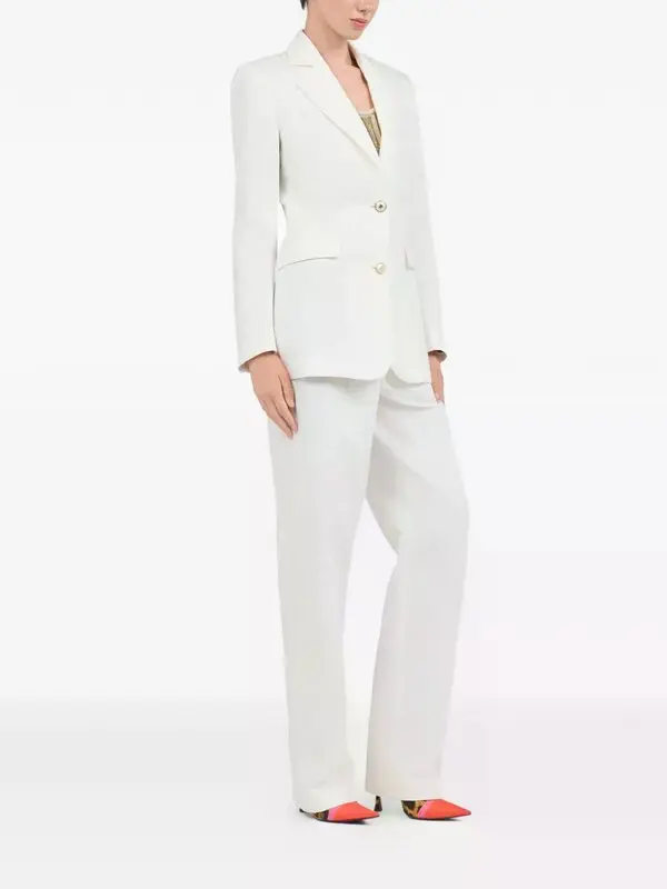 Roberto Cavalli Button-up Blazer