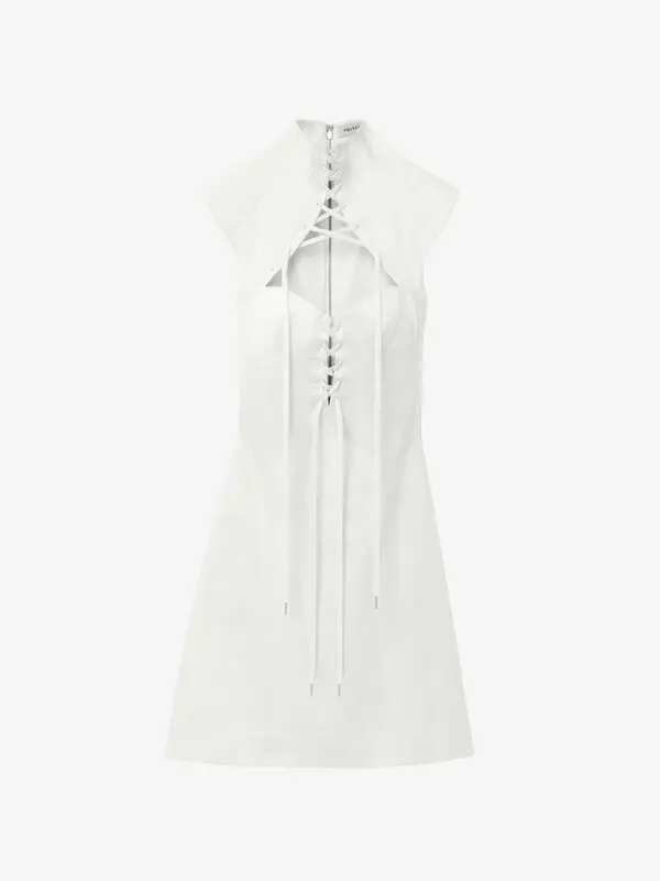 Alexander McQueen Cut-out Corset Mini Dress