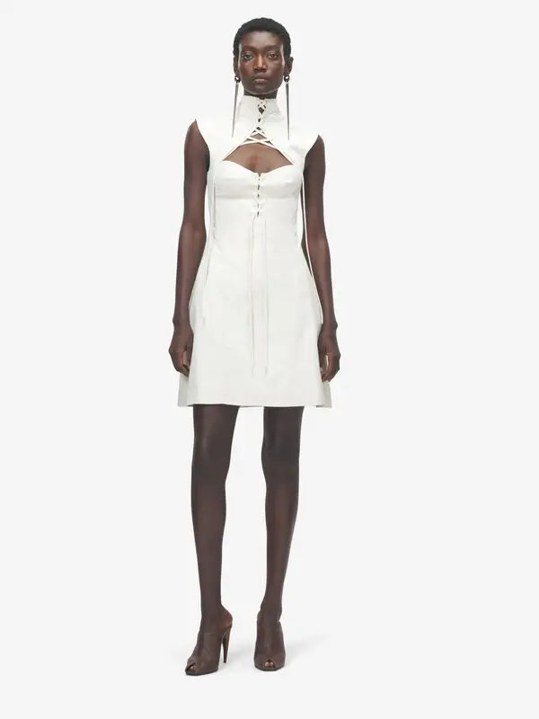 Alexander McQueen Cut-out Corset Mini Dress