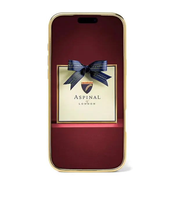 ASPINAL OF LONDON Leather Iphone 17 Pro Case - Brown