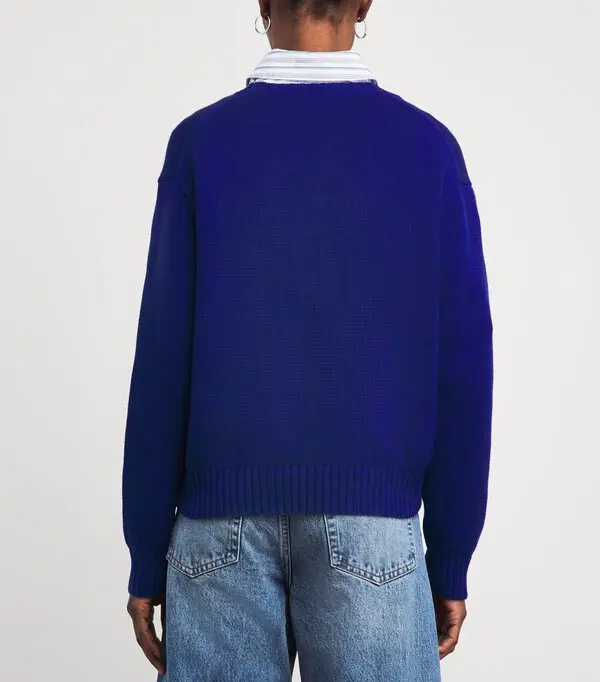 Polo Ralph Lauren Cotton Polo Bear Sweater - Blue