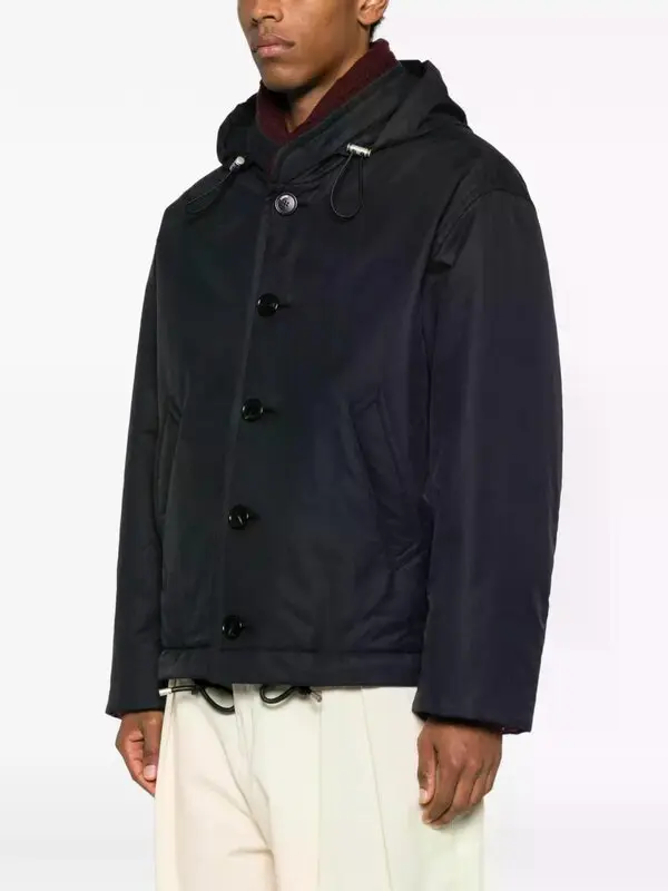 Loewe Padded Hooded Jacket - Blue