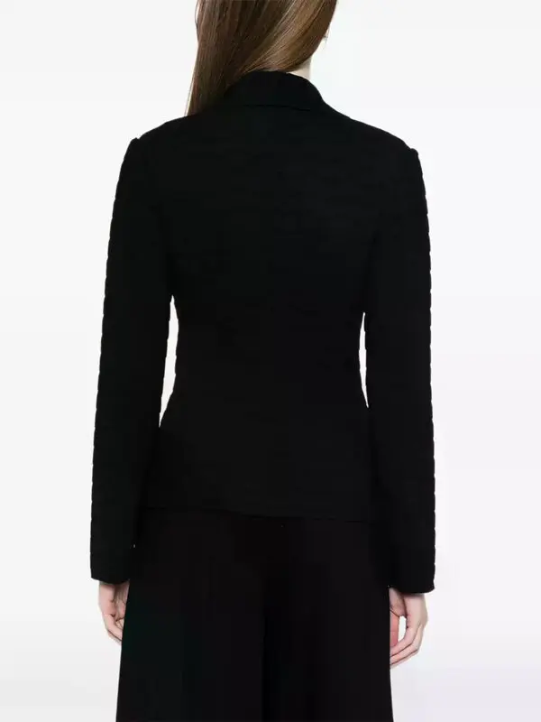 Emporio Armani Button-up Textured Jacket