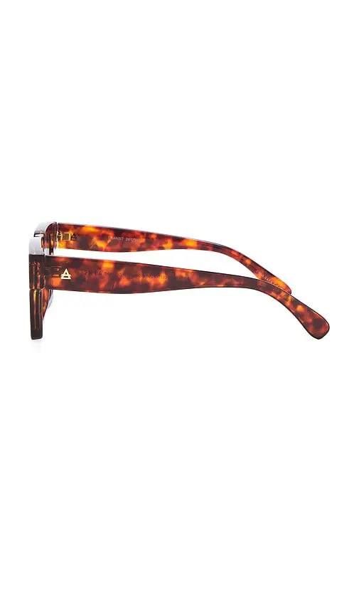AIRE Transit Sunglasses - Brown