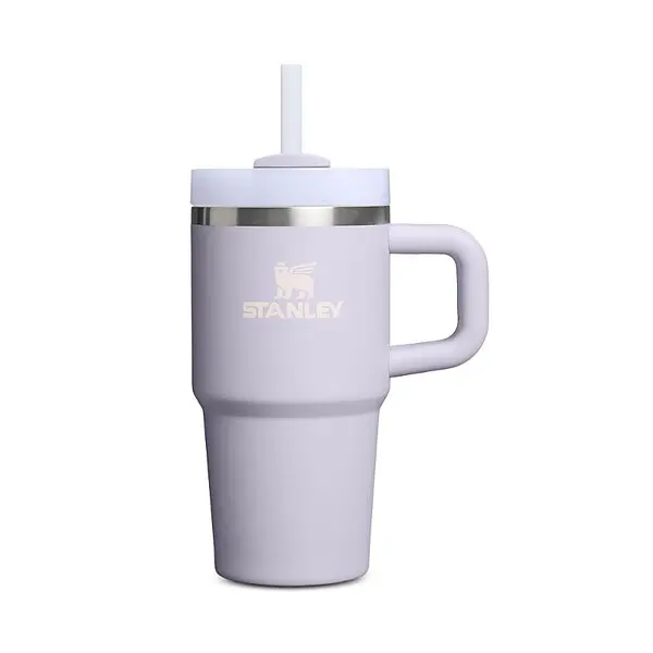 STANLEY Quencher 2 Water Bottle, 20 Oz - Purple Dust