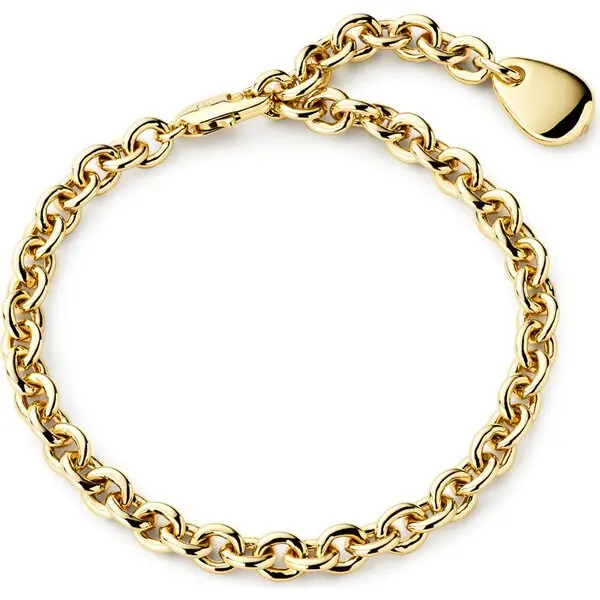 ANA LUISA Charm Braceletpebble Charm Bracelet - Gold
