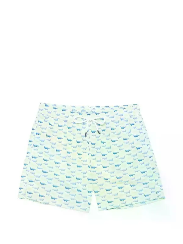 Fedeli Animal Print Drawstring Swim Shorts - Green
