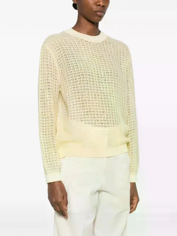 Dorothee Schumacher Open-knit Crew Neck Sweater