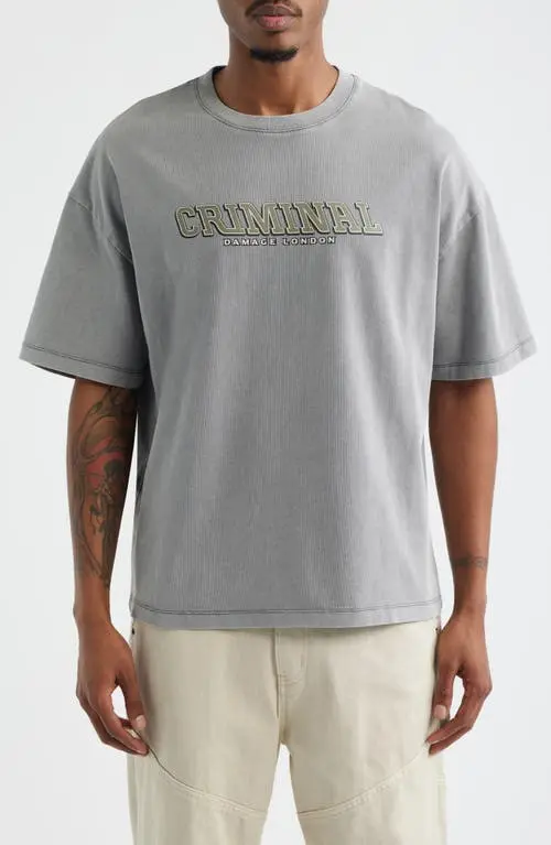 CRIMINAL DAMAGE Statute Graphic T-shirt