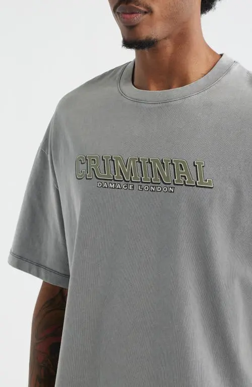 CRIMINAL DAMAGE Statute Graphic T-shirt